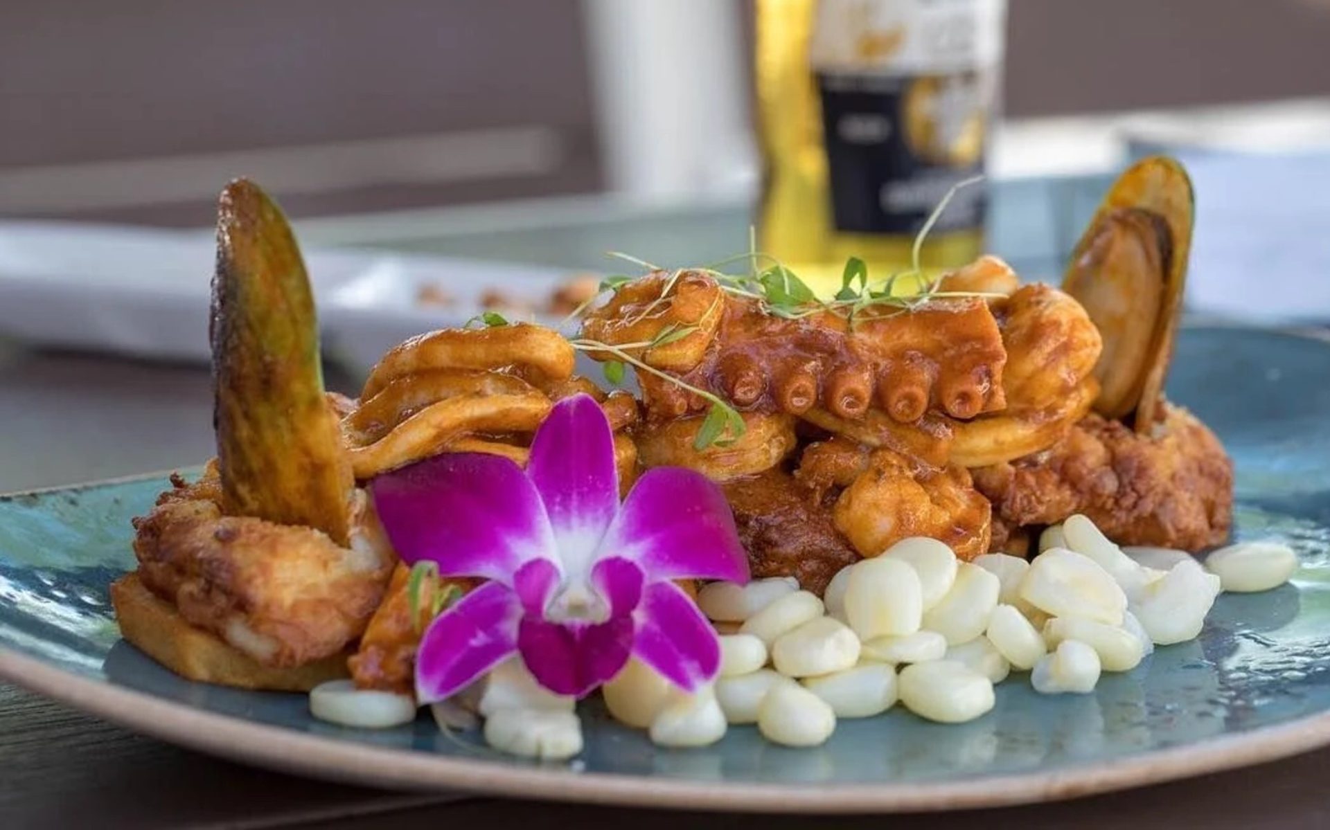 Best Peruvian food in Doral, FL | Divino Ceviche | Peruvian food near me
