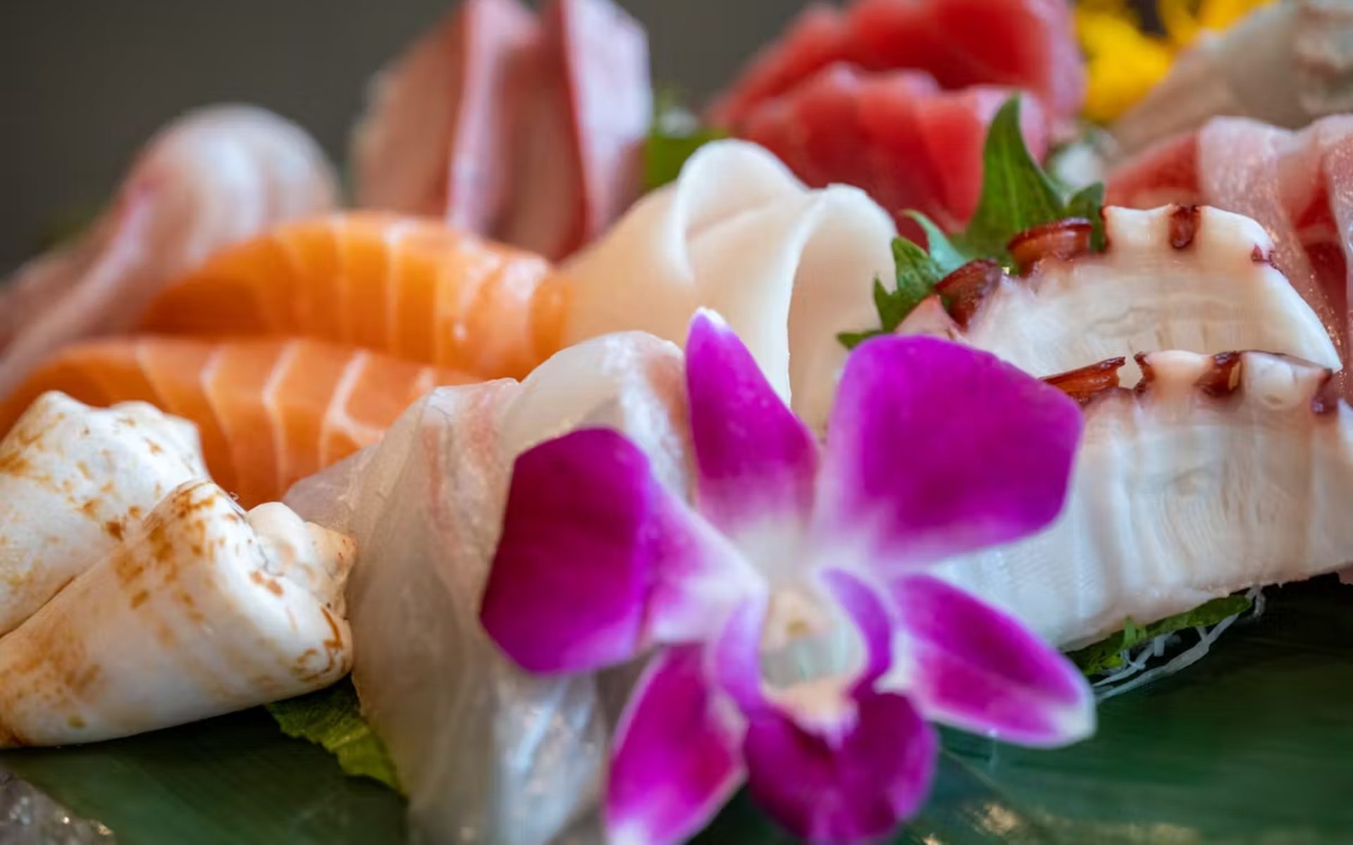 Best Japanese food in Evanston, IL | KANSAKU | Japanese food near me